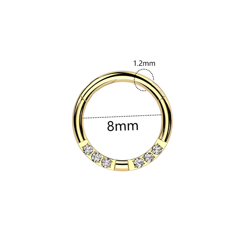 Gold Front Diamond Titanium Steel Round Nose Ring:Asujewelry.com